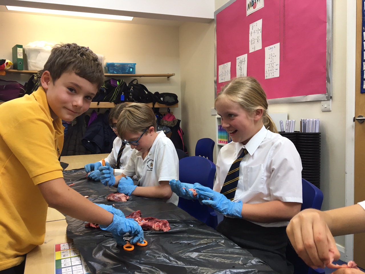 Year 6 heart dissection. - Cuddington and Dinton School