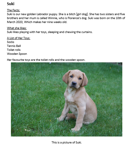 Ben's puppy description - Cuddington and Dinton School