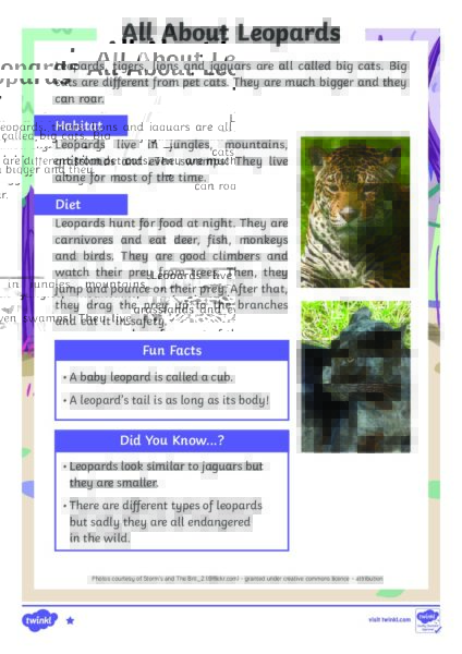 KS1 - Leopard Comprehension - Cuddington and Dinton School