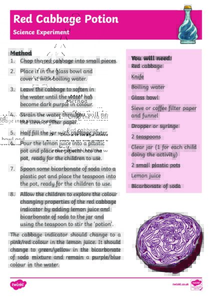 Experiment 2 - Science Experiment Red Cabbage - Cuddington and Dinton ...