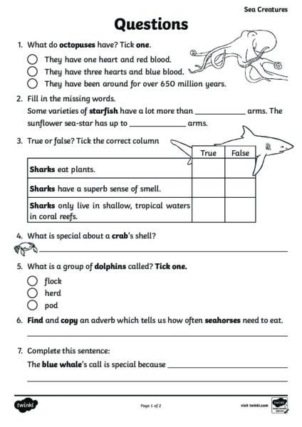 Year 1 - Monday - Questions and Answers - Cuddington and Dinton School