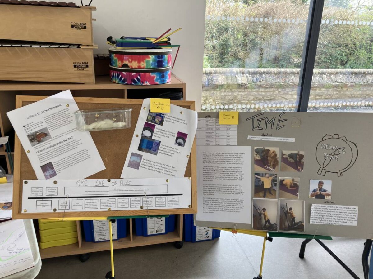 More Science Week Homework - Cuddington and Dinton School