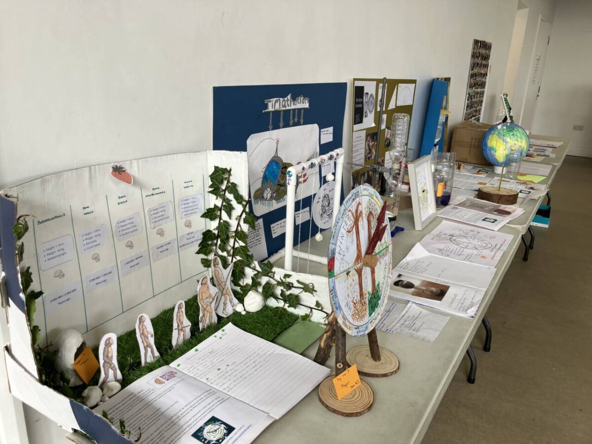 More Science Week Homework - Cuddington and Dinton School